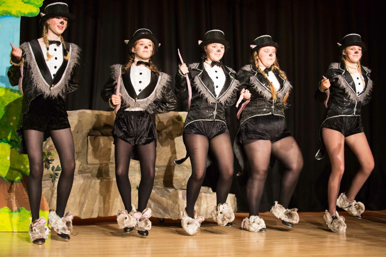 Shrek the Musical – Rising Youngstars